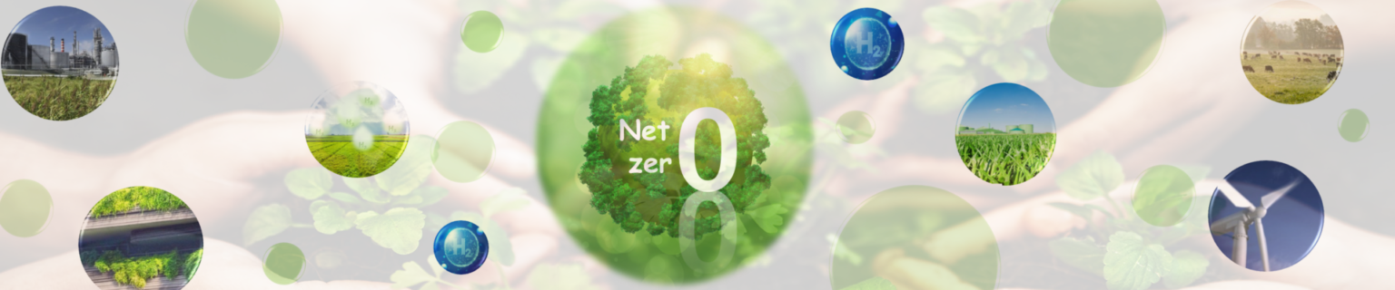 Partner Organizations – hub-netzero.com