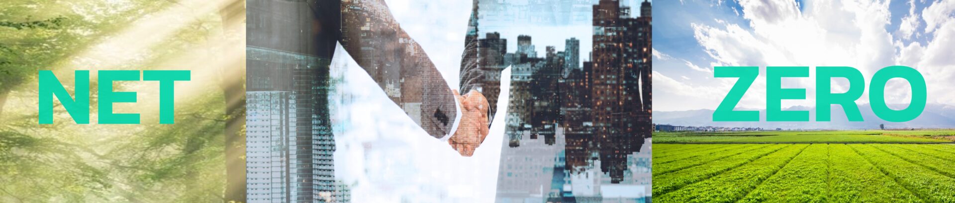 hub-netzero.com – Hub of Talents to Support Net Zero GHG Emissions