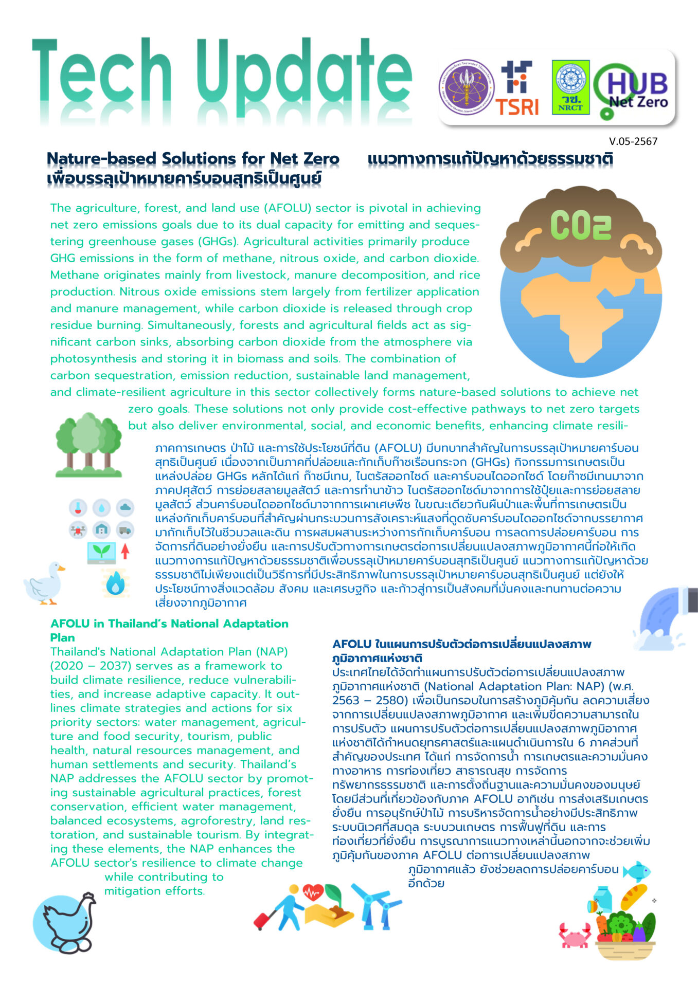 Nature-based Solutions for Net Zero – hub-netzero.com